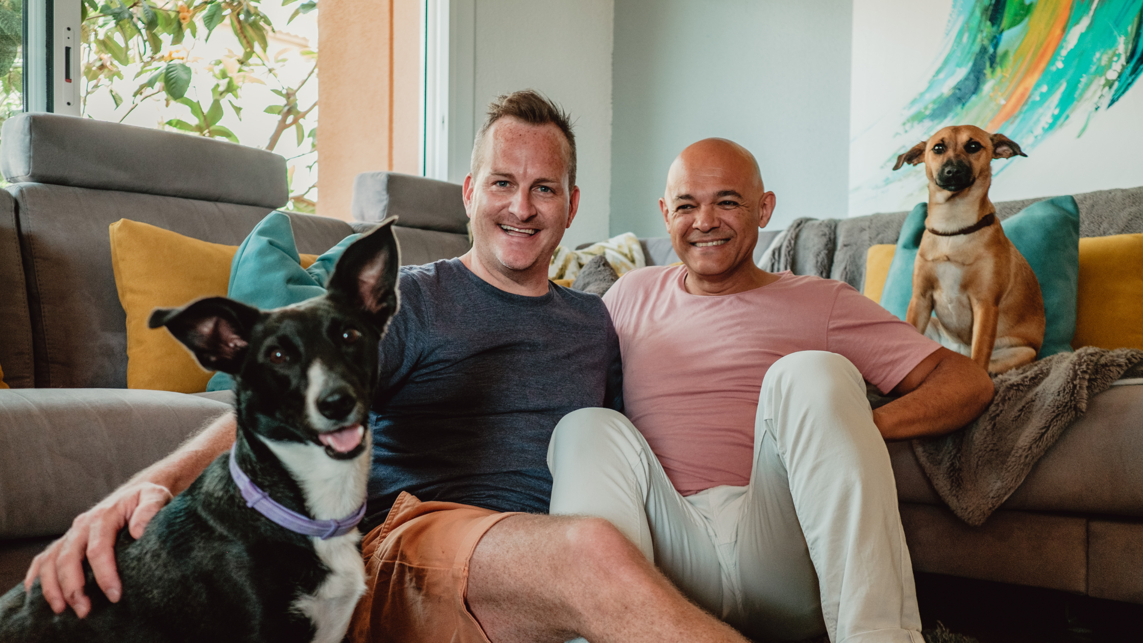Multiple Pets: Essential Health & Harmony Tips | Pet Care Guide